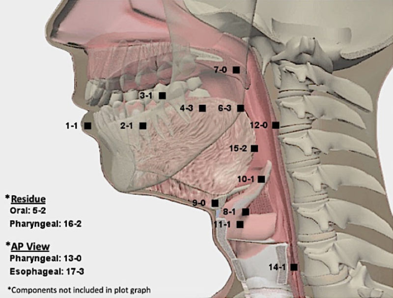 MBSImP - Swallowing Cross-System Collaborative